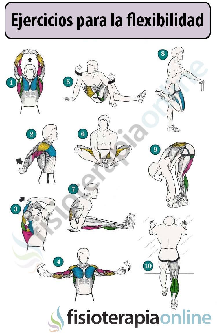 Ejercicios para mejorar tu flexibilidad y cuidar tu salud | Fisioterapia Online