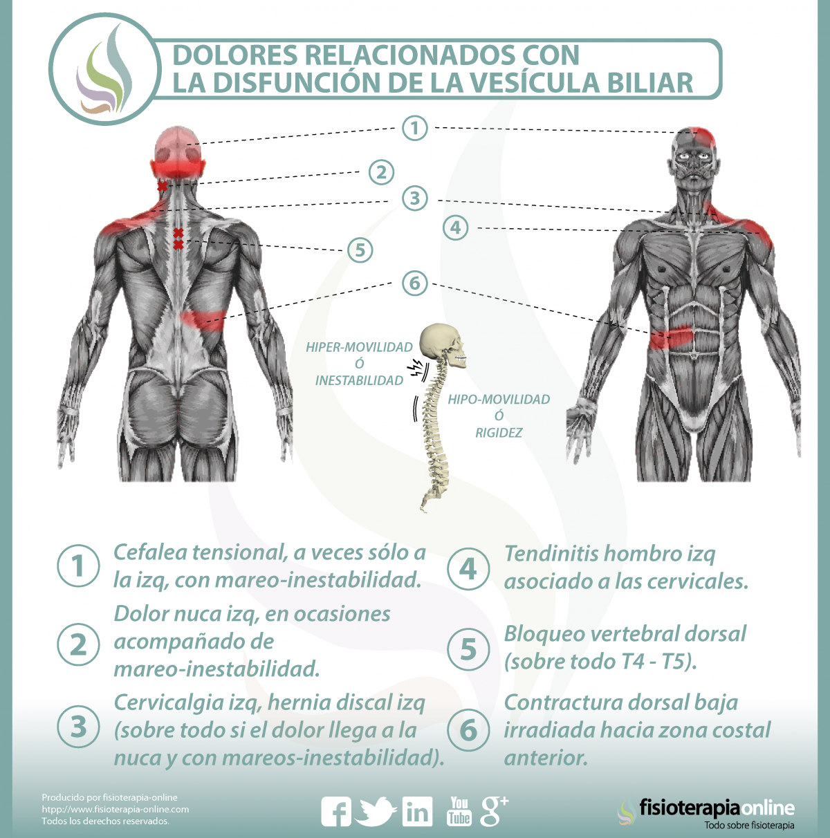 Vesícula biliar y dolor de espalda dorsal y cervical - ¿Qué relación ...
