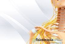 Ejercicios de Frenkel | Fisioterapia Online