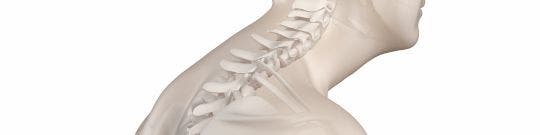 Lesiones de dorsales y sus cuidados | FisioOnline