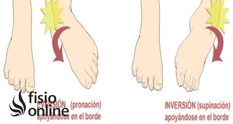 Inversión | Qué es, estructuras involucradas, cuándo y cómo se produce