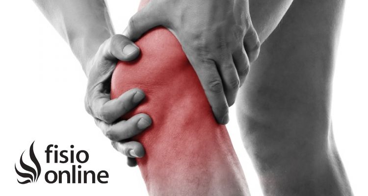 Condromalacia rotuliana. Qué es y cuales son las causas, síntomas y ...