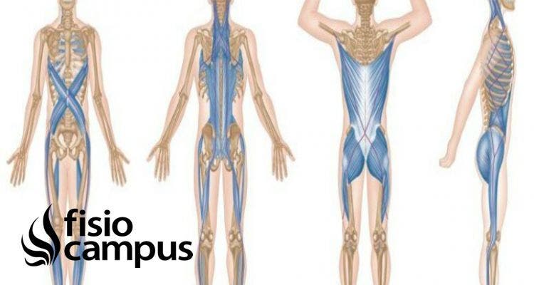 Bipedestación | Qué es, cómo se realiza, a qué edad la comienza el bebé ...