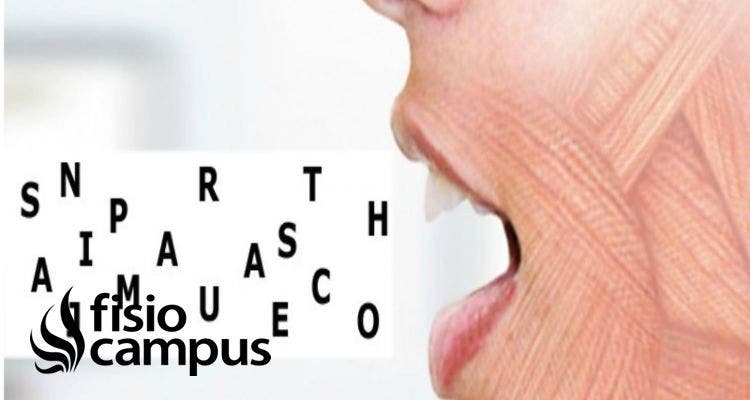 Disartria | Qué es, características, en qué patologías aparece, por qué ...