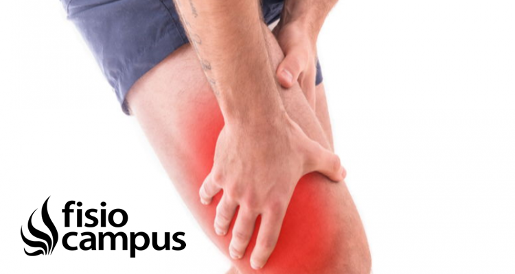 Distensión muscular | Qué es, qué estructuras afecta, síntomas, signos ...