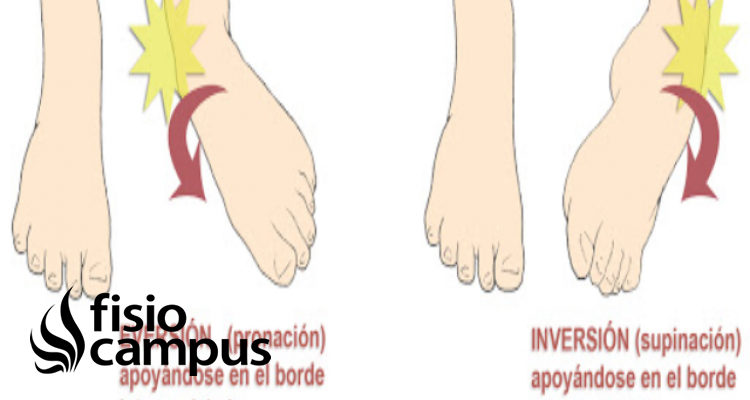 Inversión | Qué es, estructuras involucradas, cuándo y cómo se produce
