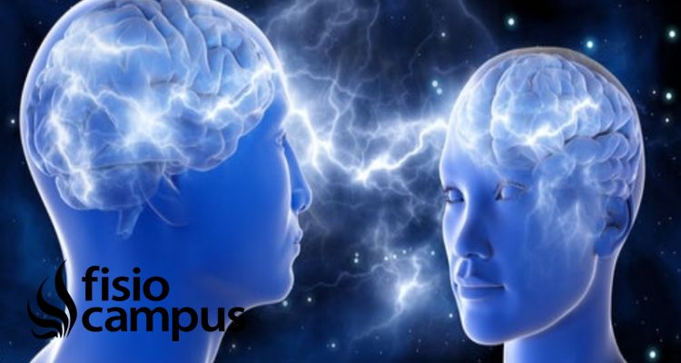 Neuronas espejo | Qué son, dónde se ubican y cuáles son sus funciones