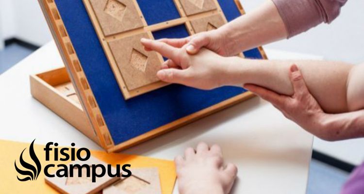 Perfetti | Qué es, principios, indicaciones, contraindicaciones y efectos