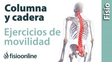 Ejercicios de Buerguer Allen. Ejercicios para problemas circulatorios ...