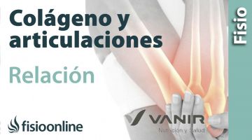 ¿Qué son y cómo se ven los osteofitos en una radiografía? | FisioOnline