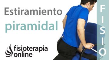 Movilización de hombro y cintura escapular en cadena cinética cerrada ...