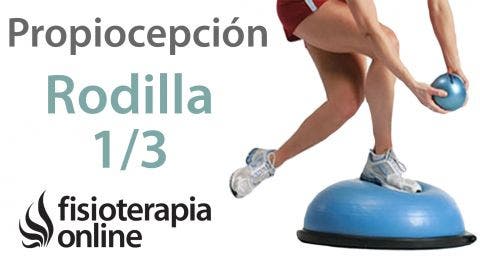 Ejercicios Propioceptivos para fortalecer la rodilla. Propiocepción de ...